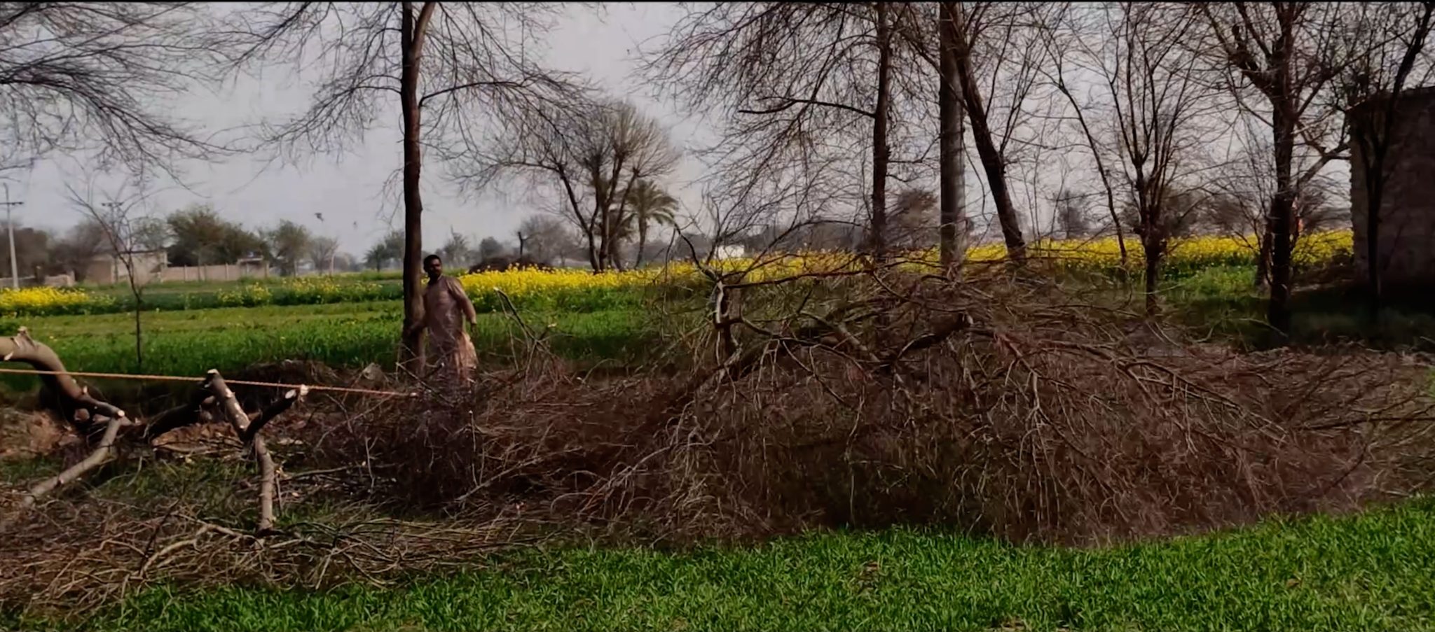 WWF | Climate Change Documentary - Jawad Sharif Films